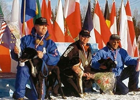 WKS - Arctic Paws Kennel And School